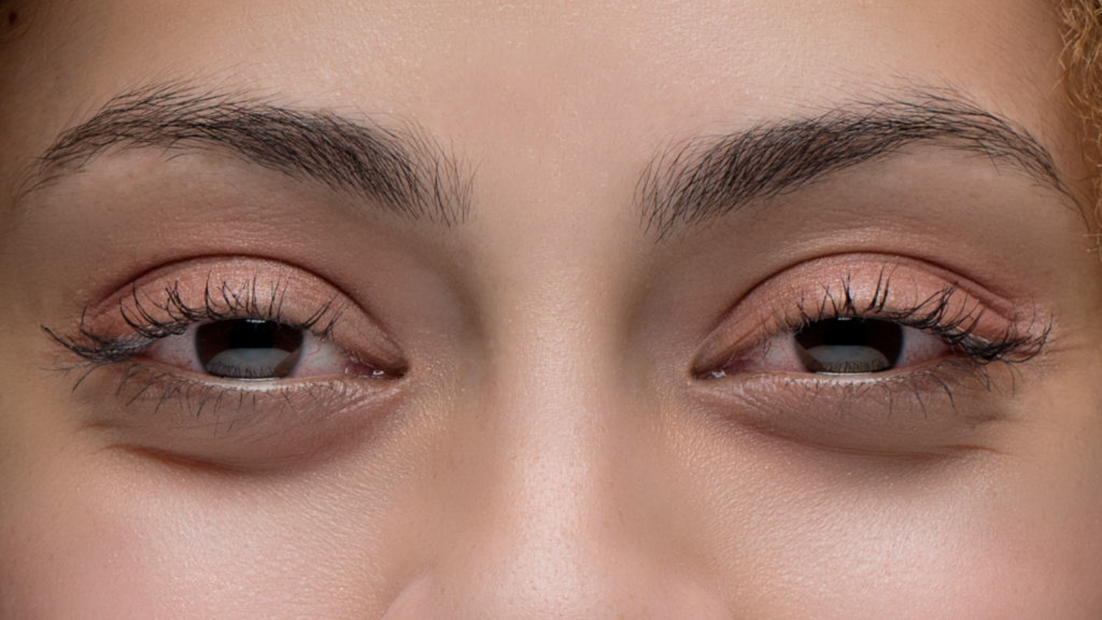 Explore the stoned spectrum, aka the 10 stages of being high ...